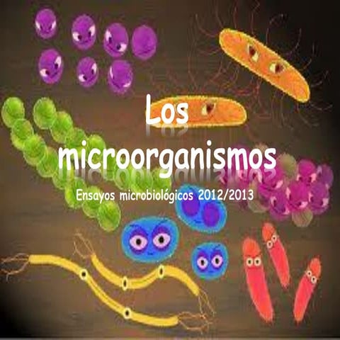 Los microorganismos | PPT