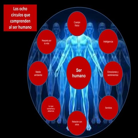 Los ocho circulos que comprenden al ser humano | PPTX