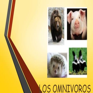 Los omnivoros | PPTX