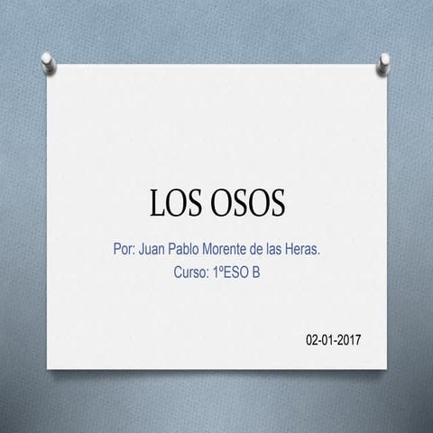 Los osos | PPTX
