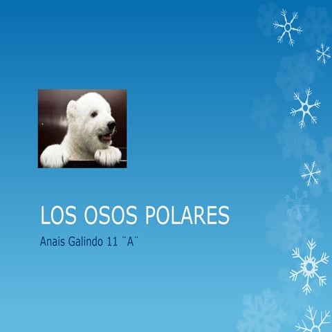 Los osos polares | PPTX