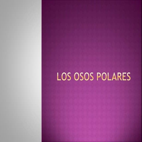 Osos polares | PPTX