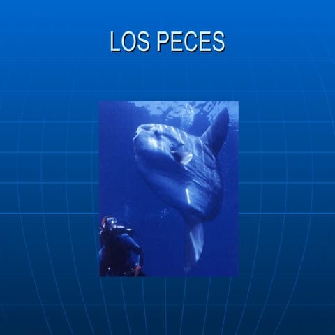 Los Peces | PPT