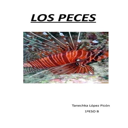 Anatomía De Los Peces Ppt