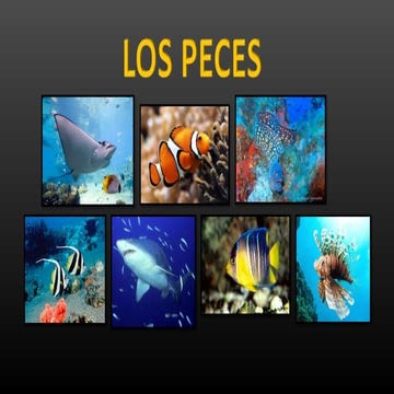 Los peces | PPTX