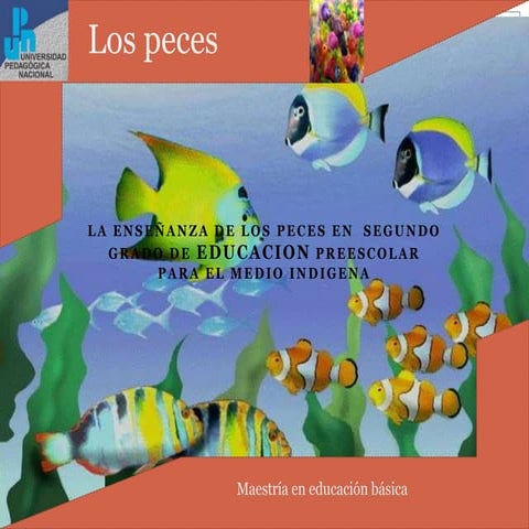 Los peces en la webques | PPTX | Fish and Aquariums | Pets