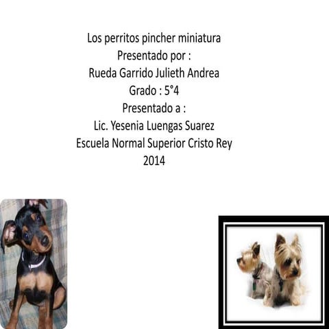 Los perritos pincher | PPTX
