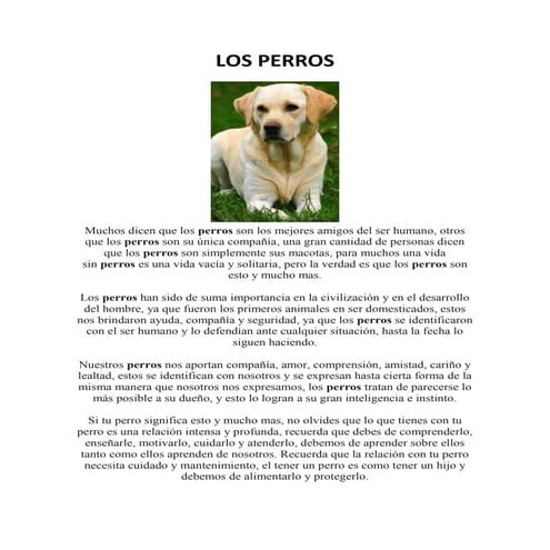 Los perros | PDF