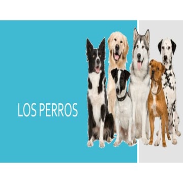 Razas de perros | PPT