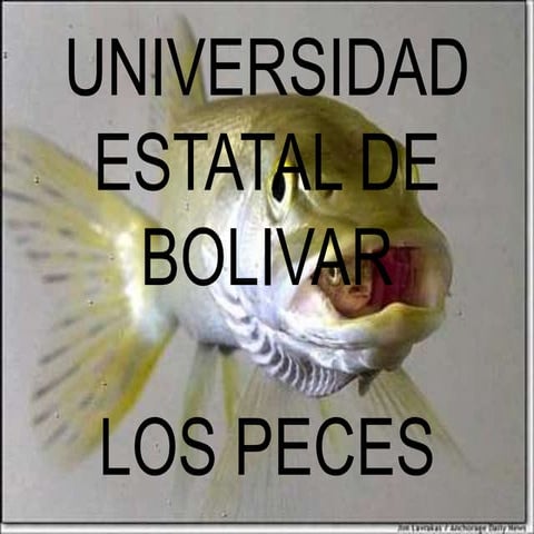 Los Peses | PPTX