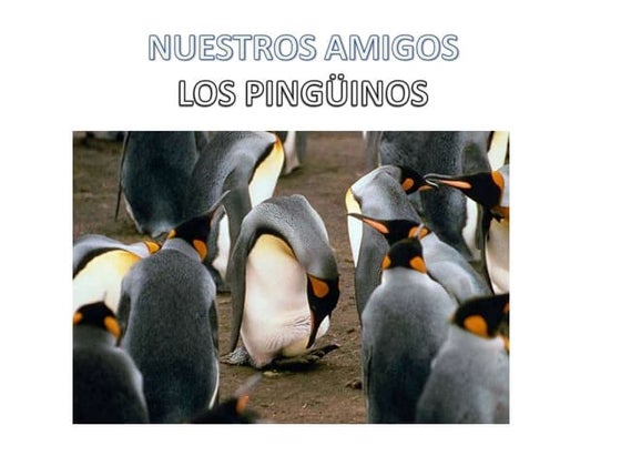 Los pingüinos 2 | PPT