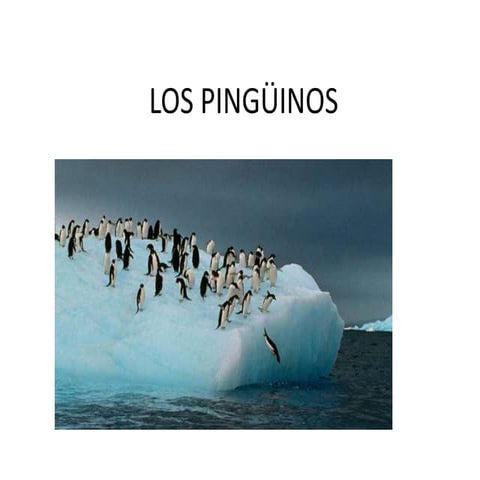 Los pingüinos 2 | PPT