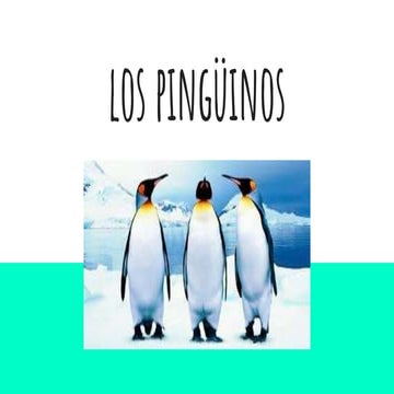 Infográfica los pinguinos | PPTX