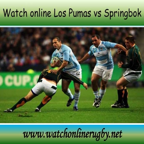 Los pumas vs springbok live rugby | PPT