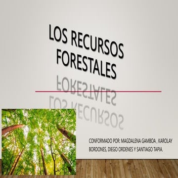Los recursos forestales para niños .pptx