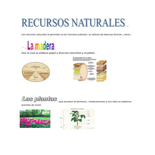 Los recursos naturales le permiten al ser humano subsistir | DOCX