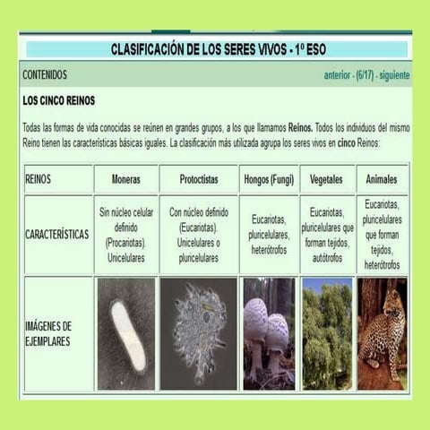 Clasificación De Los 7 Reinos