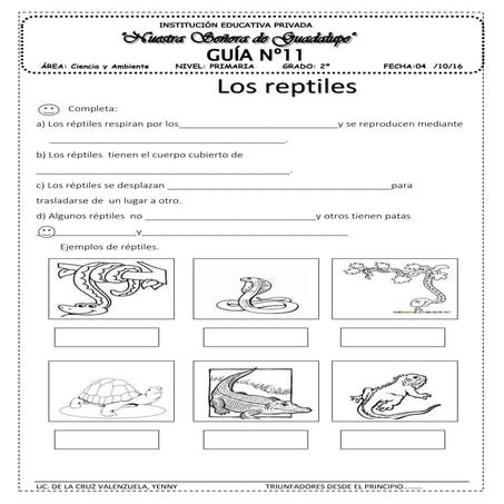 Los reptiles | PDF