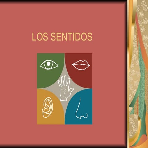 los sentidos guia.docx