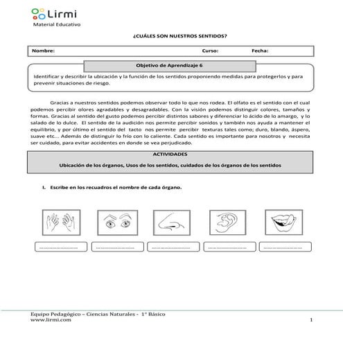 PLAN LOS 5 SENTIDOS gusto, tacto, olfato, vista, oido.pdf