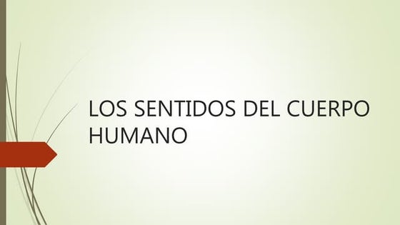 Presentación1- los 5 sentidos-animado.pptx