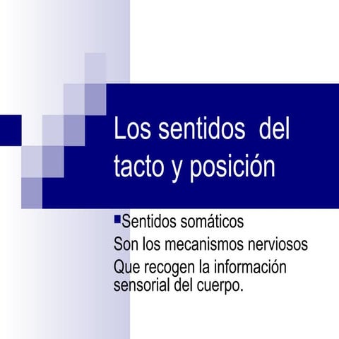 Los sentidos del tacto y posicion | PPT