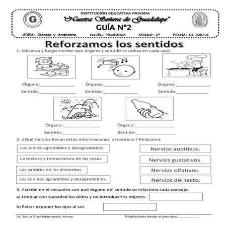Los sentidos practica | PDF