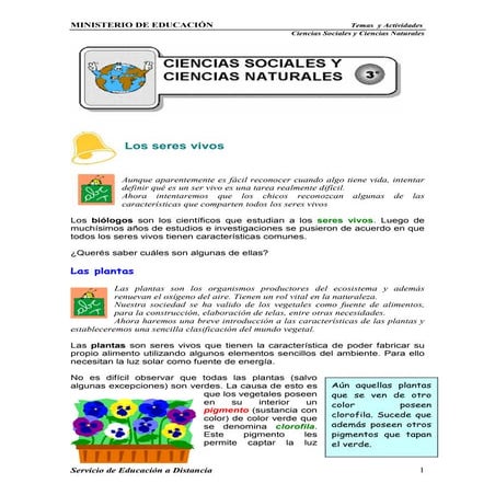 Los seres vivos. las plantas y los animales | PDF