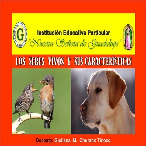 Los seres vivos y caracteristicas | PPT