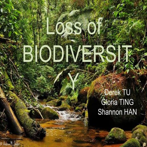 Loss of biodiversity | PPTX