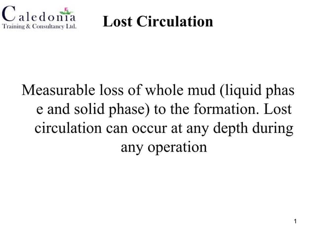 LOST CIRCULATION - THE BASICS | PDF