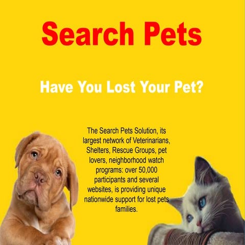 Search pets | Lost Pets Finder | How to find a lost pet | PPT