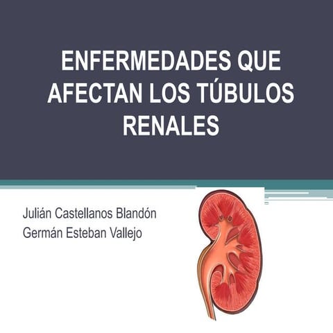 Los tubulos renales | PPSX