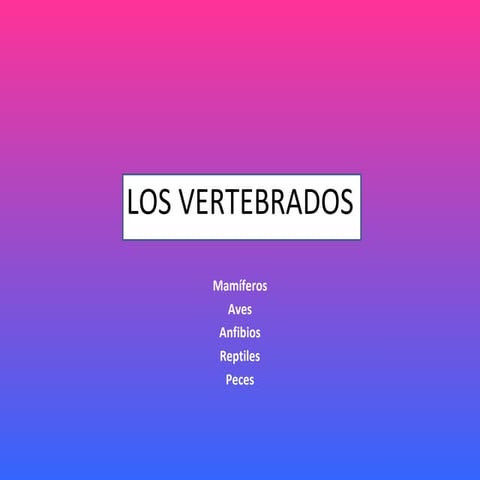 Los Vertebrados | PPT
