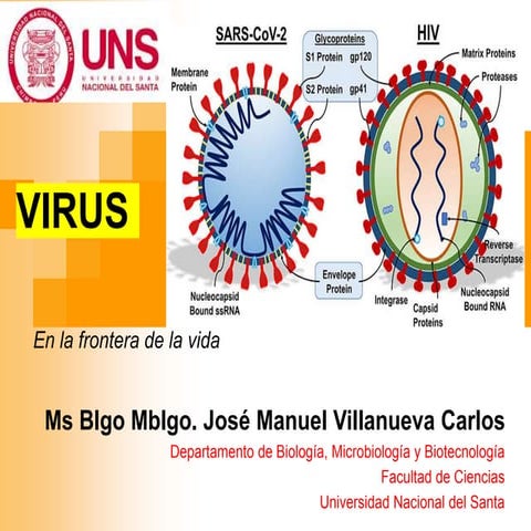 Generalidades de los Virus: Estructura y clasificación. | PPTX