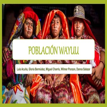 Los Wayuu | PPTX