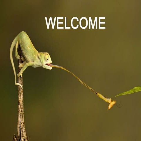 Lotka volterra model | PPTX