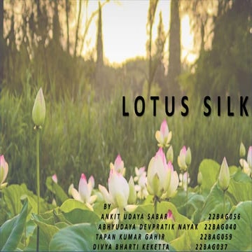 Lotus silk x (1).pptx