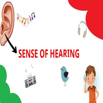 Hearing Sense: Identifying soft and loud sounds | PPTX