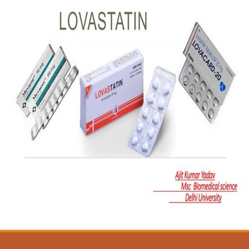 Lovastatin Medicinal Chemistry | PPTX
