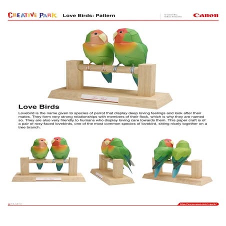 Love birds e-a4 | PDF