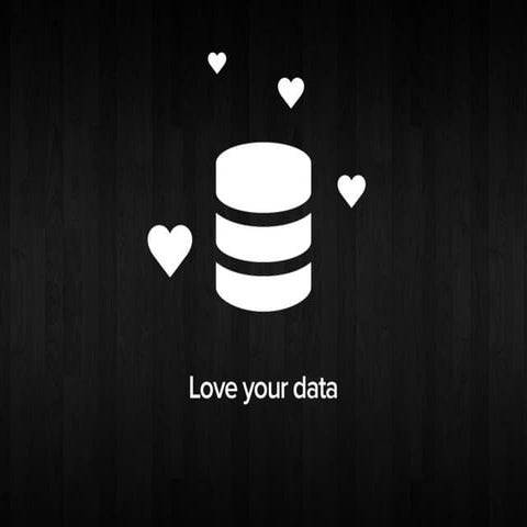 Love Your Data | PDF