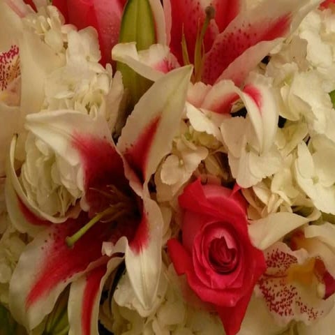 Lovingly made 7.11.15 a | PPTX