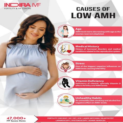 Low AMH : Causes, Symptoms and Treatment | PDF