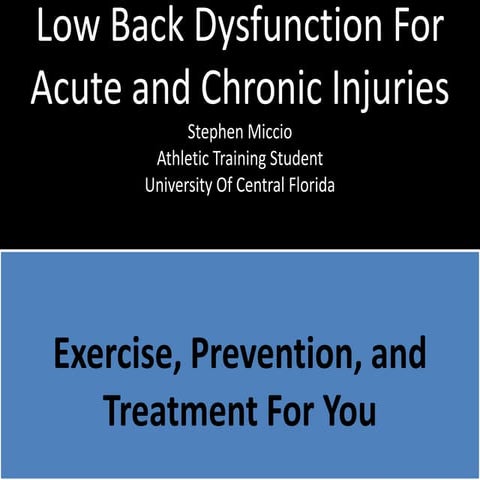 Low back dysfunction for acute and chronic injuries | PPT