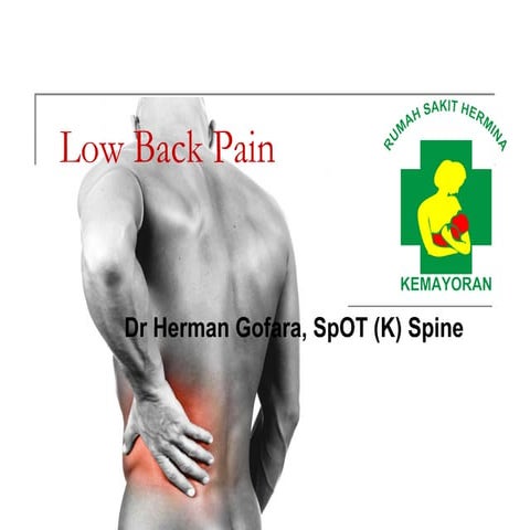 Low back pain | PPT | Physical Therapy | Wellness
