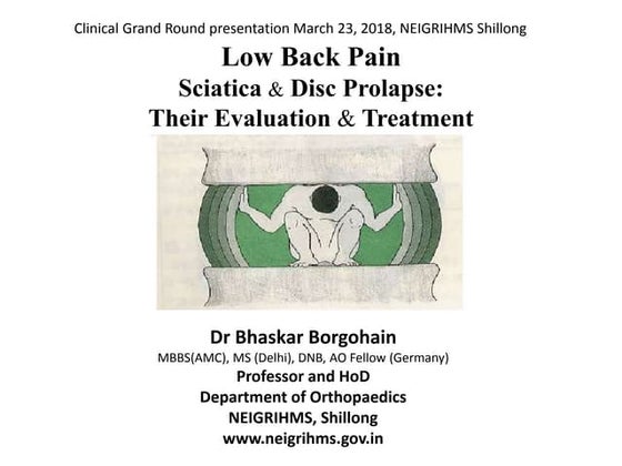 Differential Diagnosis of Lower Back Pain | PPTX