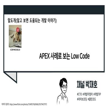 (알도개) APEX 사례로 보는 Low Code | PPT | Free Download