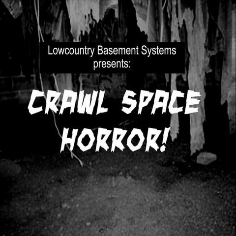 The crawlspace guys | PPTX