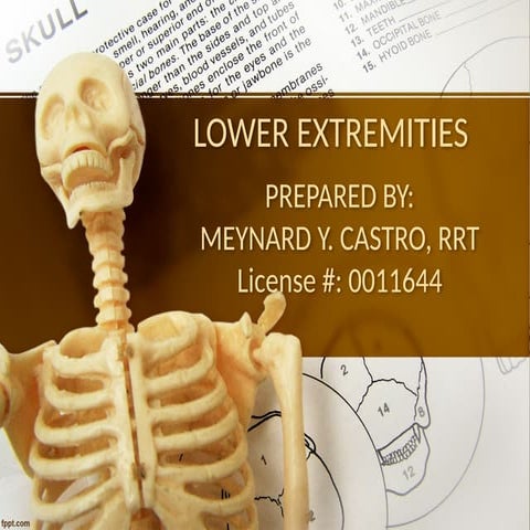 the lower limb positioning | PPTX